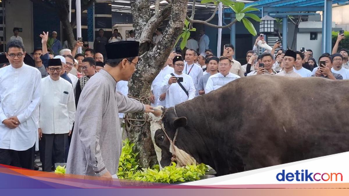 Batal Berangkat Haji, Purbaya Pakai Duitnya buat Beli Sapi Kurban Jumbo