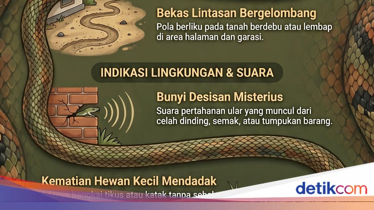 Infografis: Tanda-tanda Keberadaan Ular di Dalam Rumah