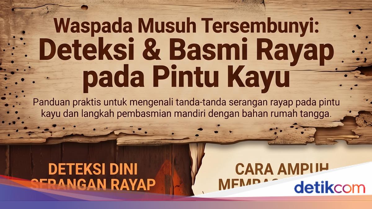 Infografis: Tanda Ada Rayap di Rumah dan Cara Mudah Membasminya