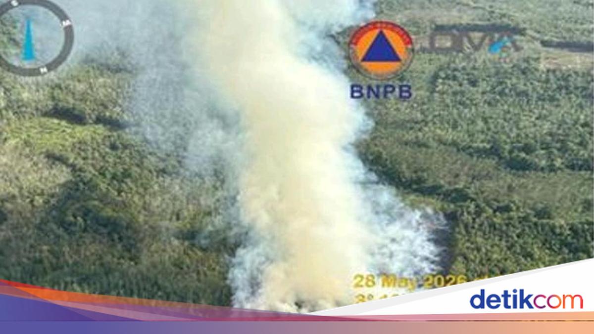 Hotspot Naik, Belasan Hektare Lahan di Sumsel Terbakar