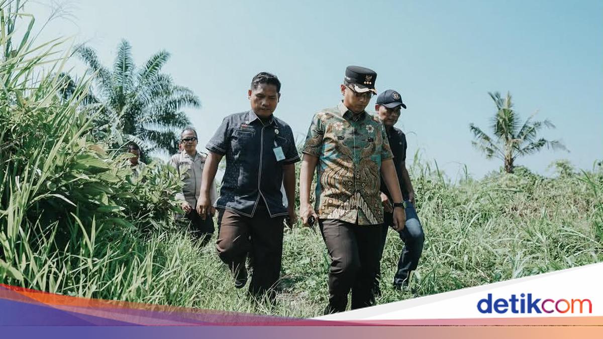 Walkot Medan Tinjau Akses Jalan TPU di Marelan yang Tak Bisa Dilalui ...