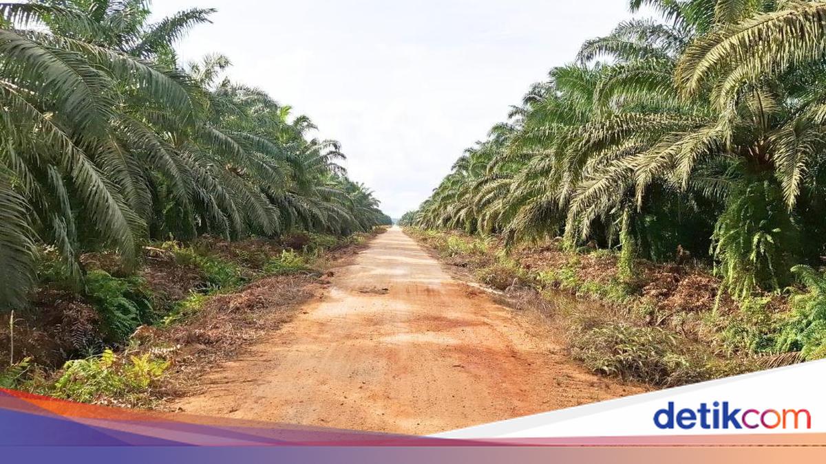 Pemuda di Kobar Tewas Usai Tenggak Obat Pembasmi Rumput