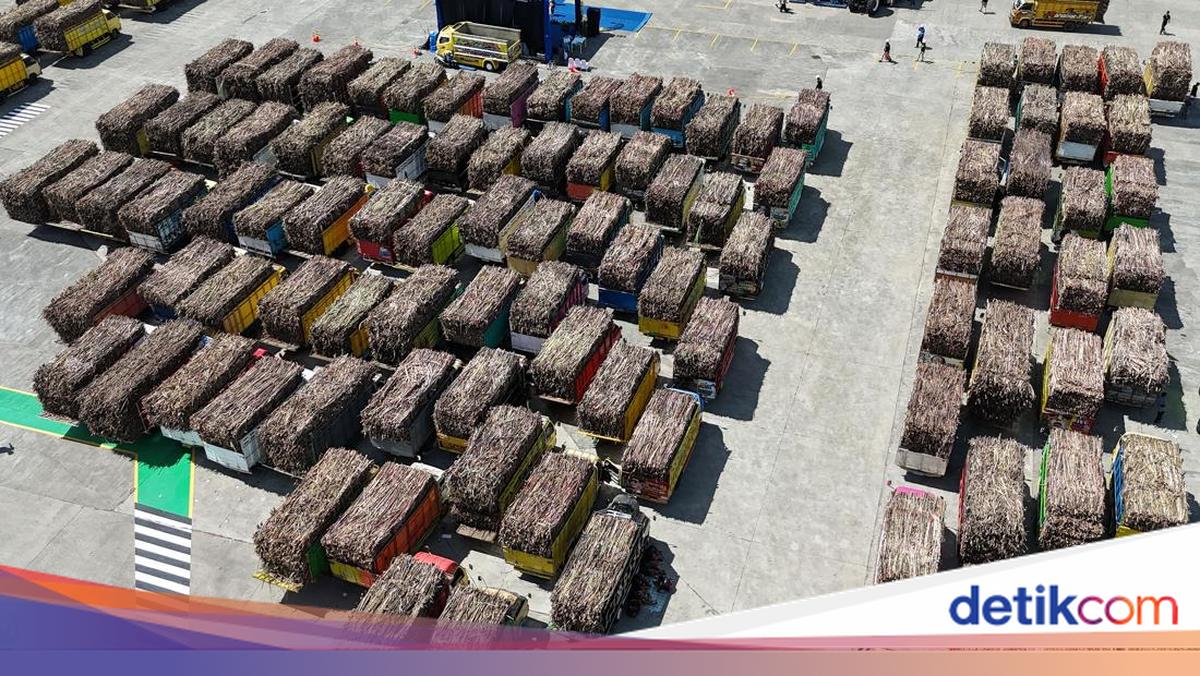 Jatim Targetkan Sumbang 51 Persen Produksi Gula Nasional