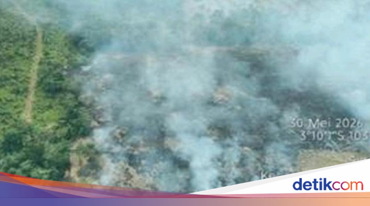 Belasan Hektare Lahan di Enam Daerah Sumsel Terbakar
