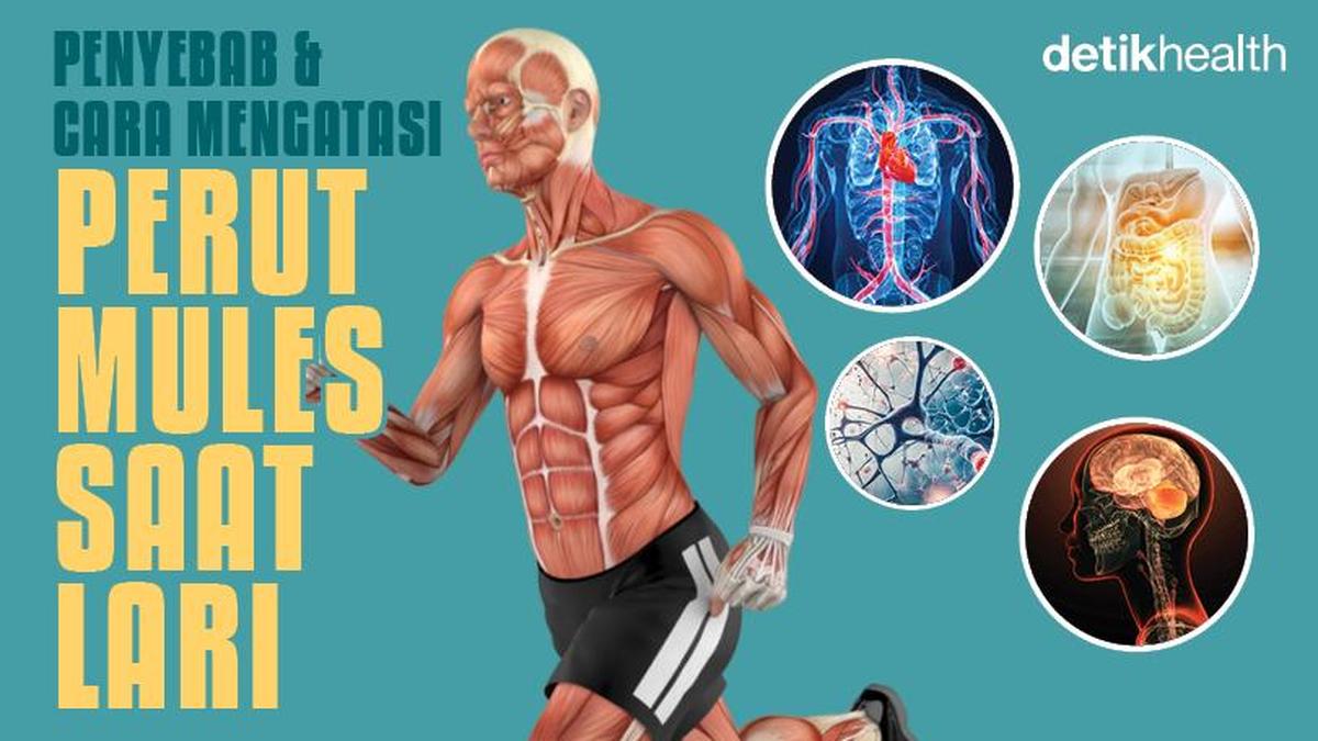 Infografis: Sisi Ilmiah Runner's Trot, Fenomena Mendadak Mules Saat Lari