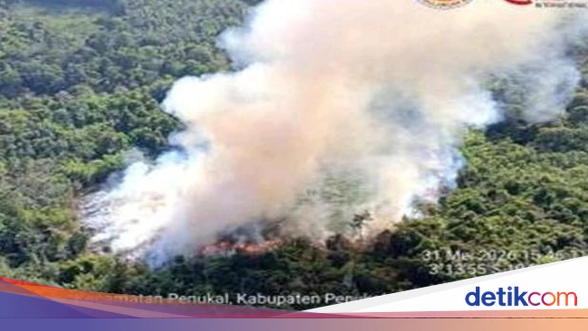 Karhutla di PALI Meluas di 3 Lokasi, Helikopter Lakukan 53 Kali Water ...