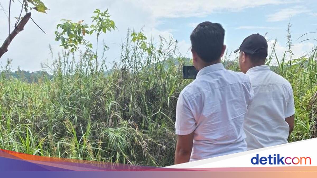 Pilu Bocah Kutim Ditemukan Tewas di Semak-semak Usai Hilang 2 Hari