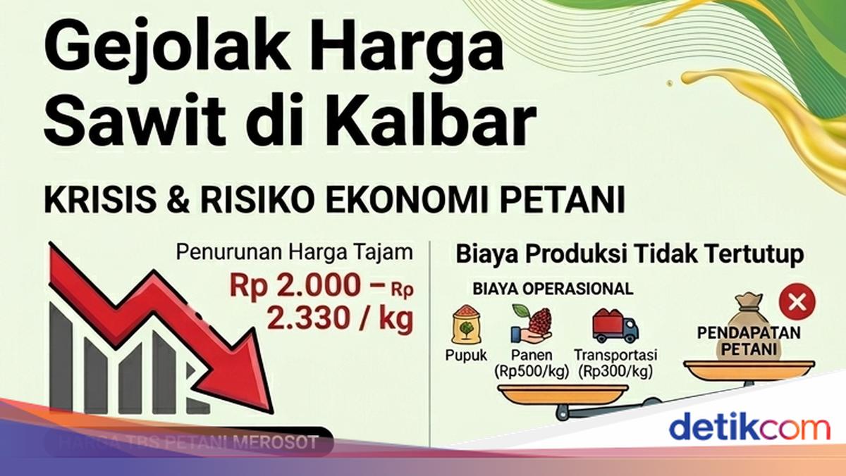 Gejolak Harga Sawit di Kalbar