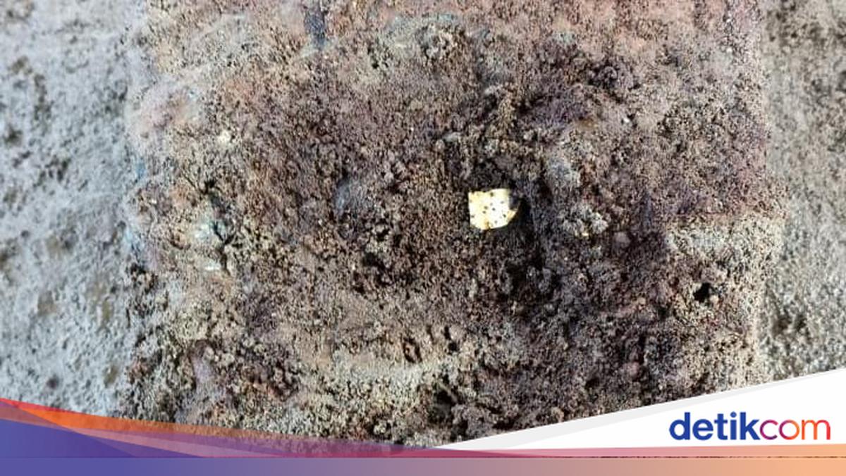 Artefak Logam yang Ditemukan di Candi Losari Dipastikan Kepingan Emas!