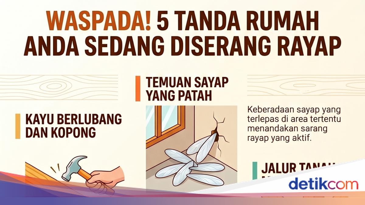 Infografis: 5 Ciri Rumah Lagi Diserang Rayap!