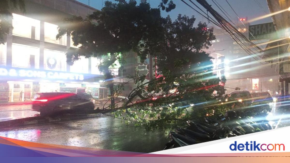 Pohon Tumbang di Jalan Katamso Medan, Kendaraan Tak Bisa Melintas