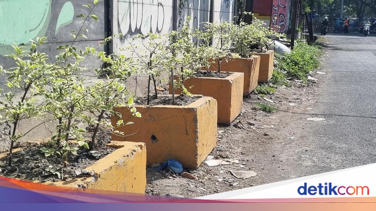 DLH Surabaya Pasang Pot Bunga untuk Basmi TPS Liar