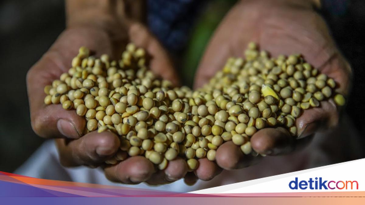 Dolar AS Tembus Rp 18.000, Pemerintah Kasih Subsidi Kedelai Rp 2.000/Kg