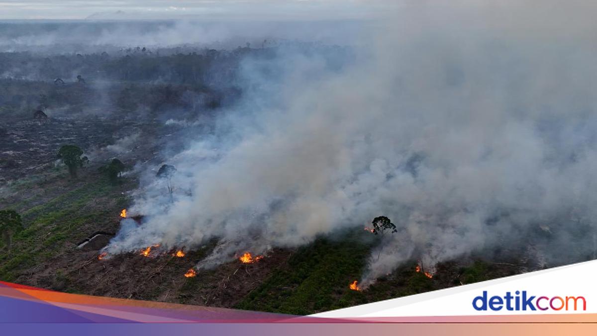 OKU Tetapkan Status Siaga Karhutla Jelang Puncak Kemarau