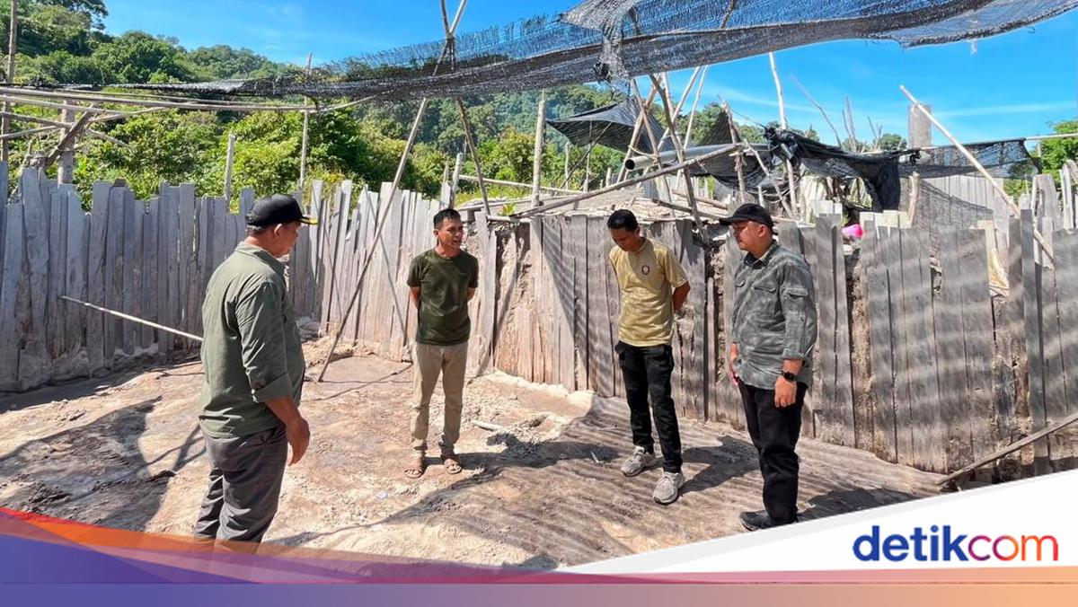 Pemkab Kayong Utara Laporkan Dugaan Tambang Pasir Ilegal ke Pemprov