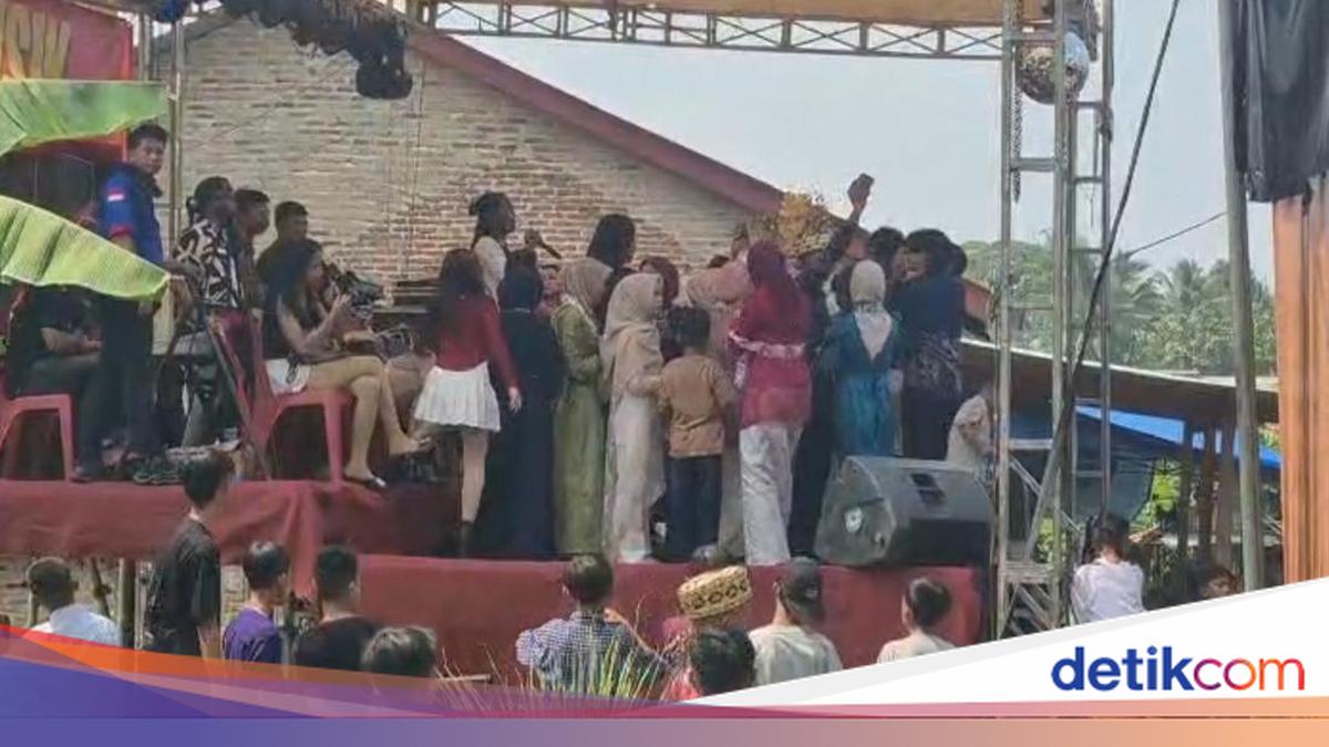 Pesta Pernikahan di Lampung Diserbu Tawon Vespa, Damkar Turun Tangan