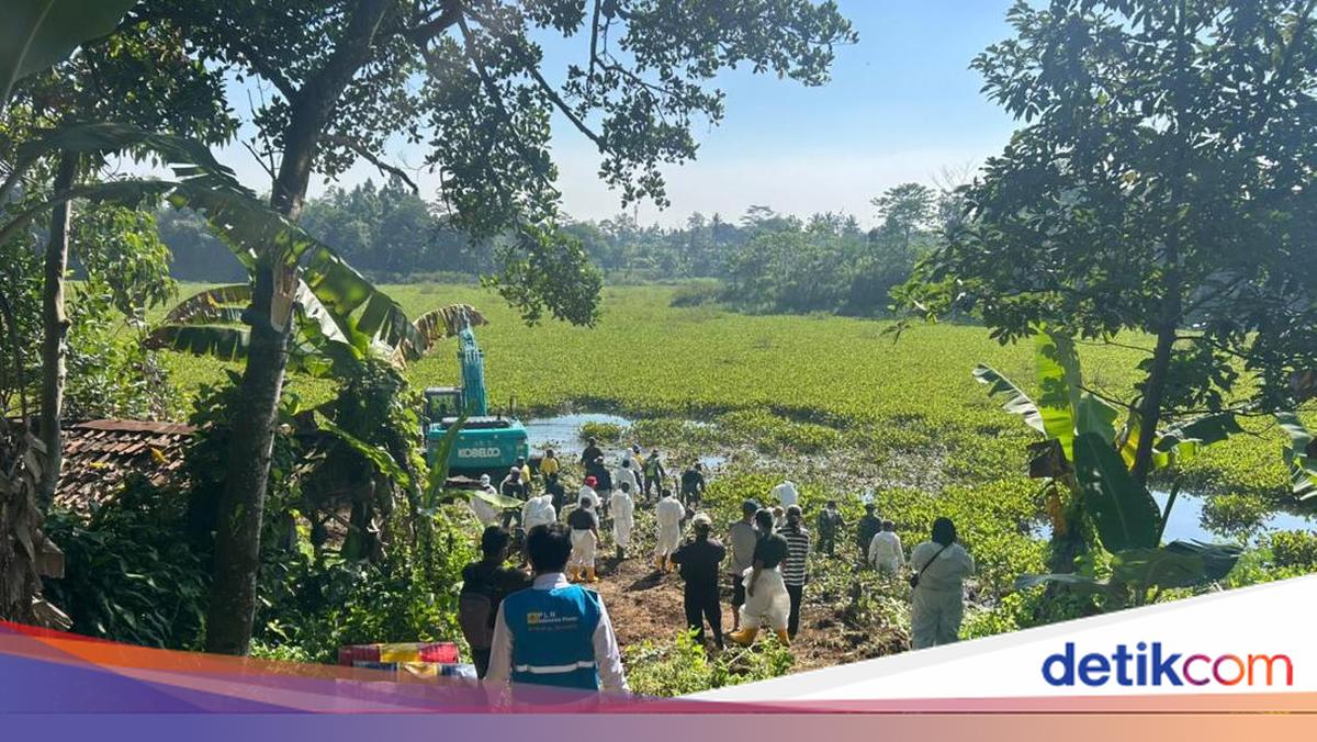 Pembersihan Eceng Gondok Jadi Fokus Pemulihan Sungai Citarum