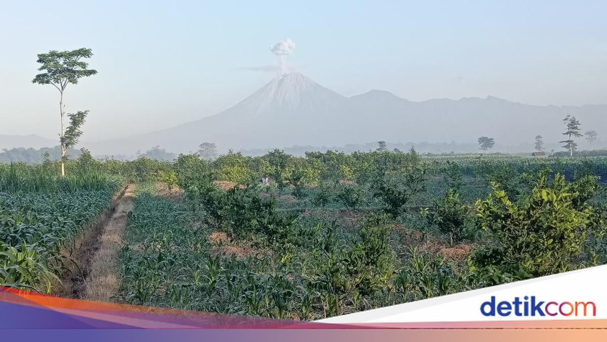 Gunung Semeru 4 Kali Erupsi Pagi Ini, Status Masih Siaga