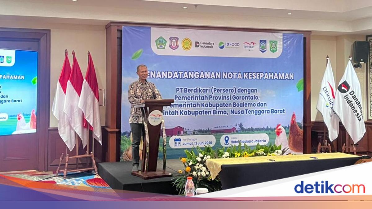 NTB Bidik Investasi Hilirisasi Ayam Rp 1,7 Triliun, Digarap di Sumbawa-Bima