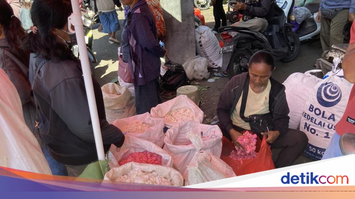H-2 Galungan, Harga Bunga Pacar di Klungkung Tembus Rp 30 Ribu/Kg