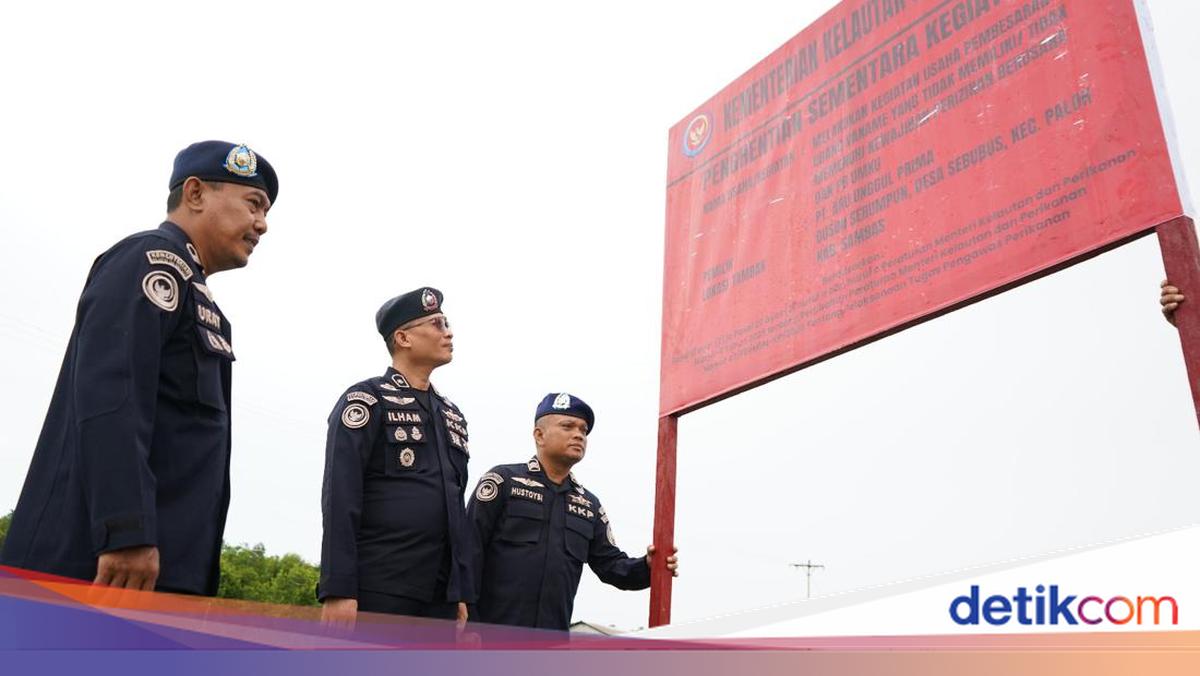 Diduga Langgar Perizinan, 4 Tambak Udang Vaname di Kalbar Disegel
