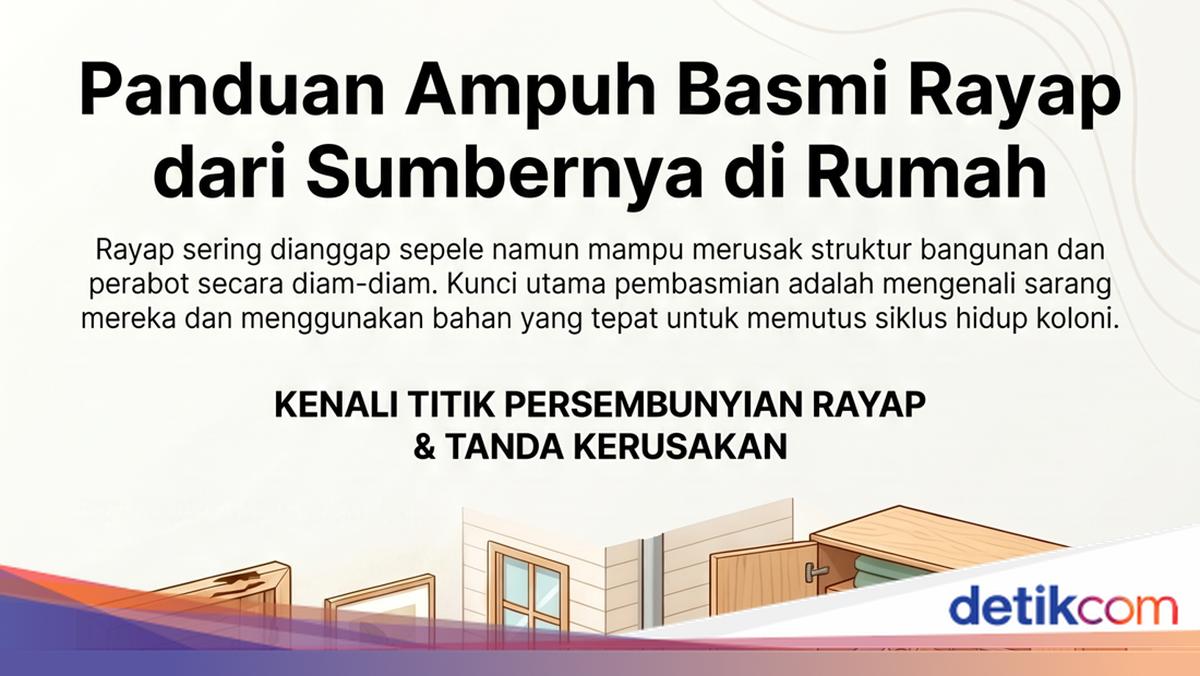Infografis: 4 Tempat Persembunyian Rayap di Rumah dan Cara Mengusirnya