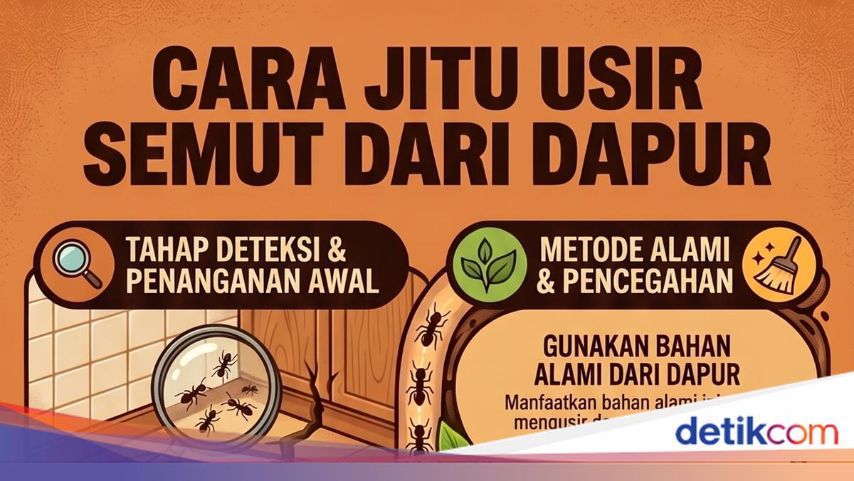 Infografis: Dapur Diserang Semut? Begini Cara Jitu Basmi Biar Nggak ...