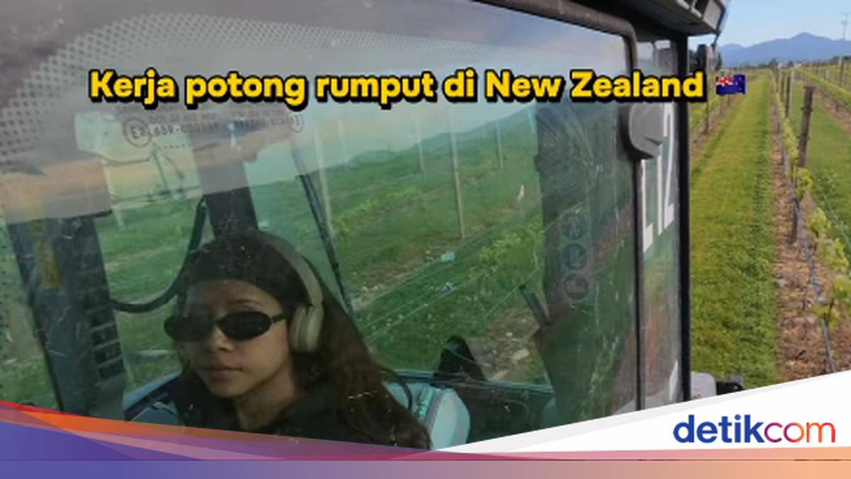 Viral Kisah Wanita Bogor Bergelar Sarjana Kerja Potong Rumput di New ...