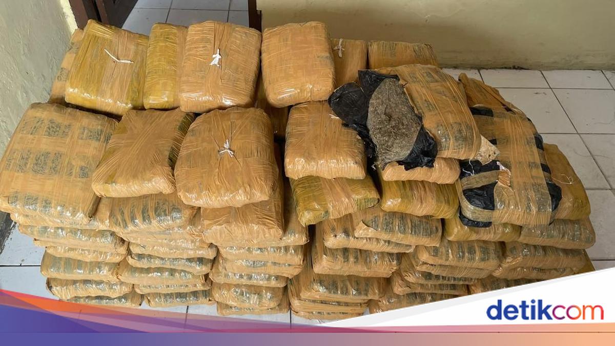 Kecelakaan di Taput Bikin Pengiriman 112 Kg Ganja dari Madina ke Medan ...