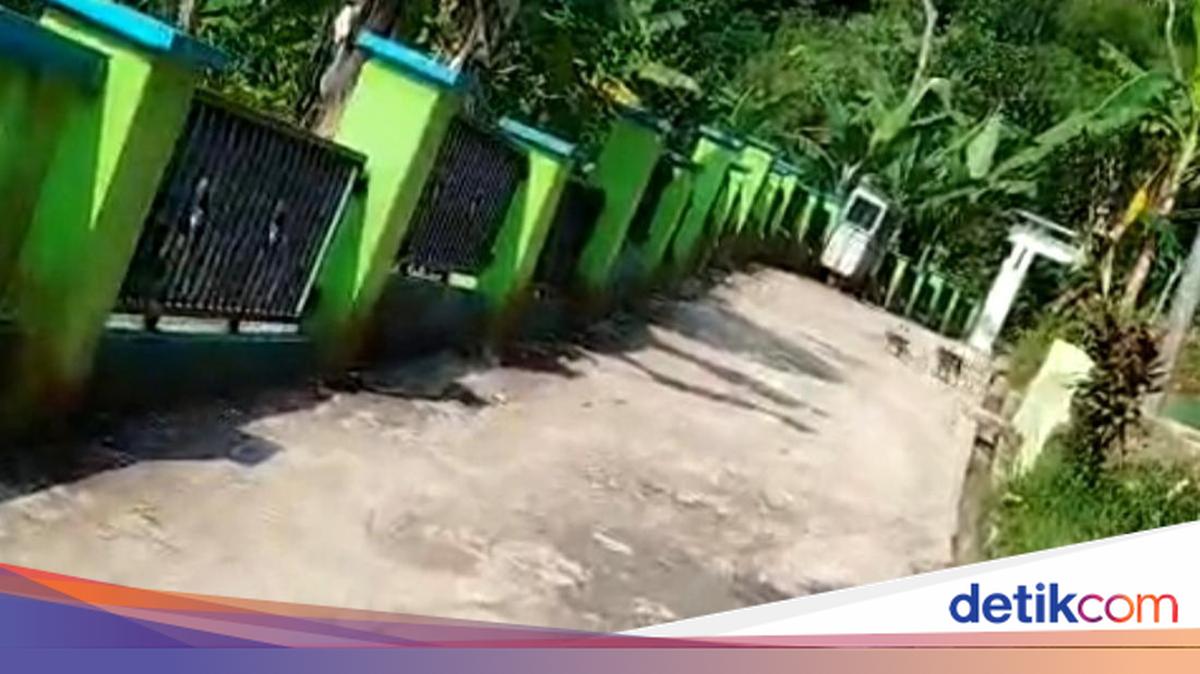 Heboh Kawanan Monyet Liar Teror Warga Dua Dusun di Ciamis