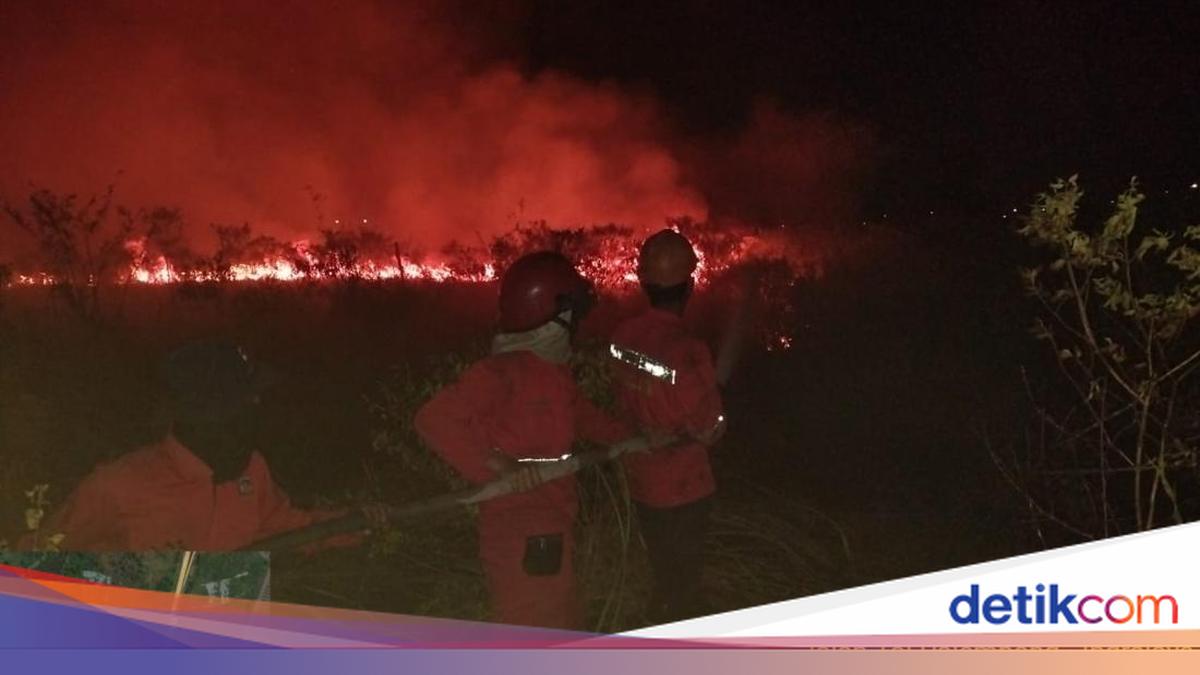 Lahan Samping Tol Palindra Terbakar, Asap Mengarah ke Jalan-Api Padam