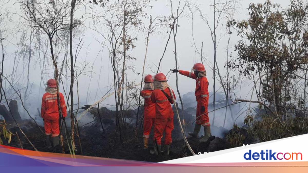 Karhutla di Lahan Gambut OKI 6 Hektare Belum Padam, Asap Pekat