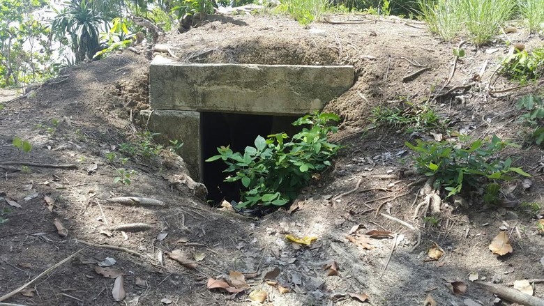 Melihat Bunker dan Meriam Peninggalan Pasukan Jepang di Kaimana Papua Barat Melihat Bunker dan Meriam Peninggalan Pasukan Jepang di Kaimana Papua Barat