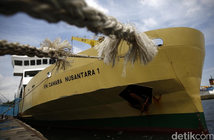 Kapal Ternak KM Camara Bawa 299 Ekor Sapi Kapal Ternak KM Camara Bawa 299 Ekor Sapi