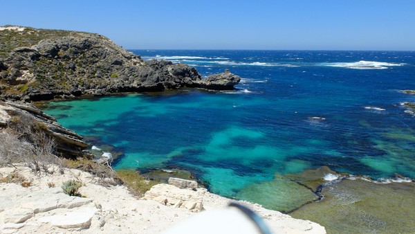 Deretan Pantai Cantik Bak Surga di Rottnest Island, Australia