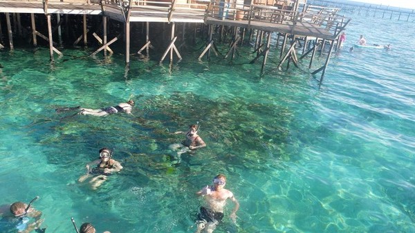 Potret Keindahan Pulau Derawan