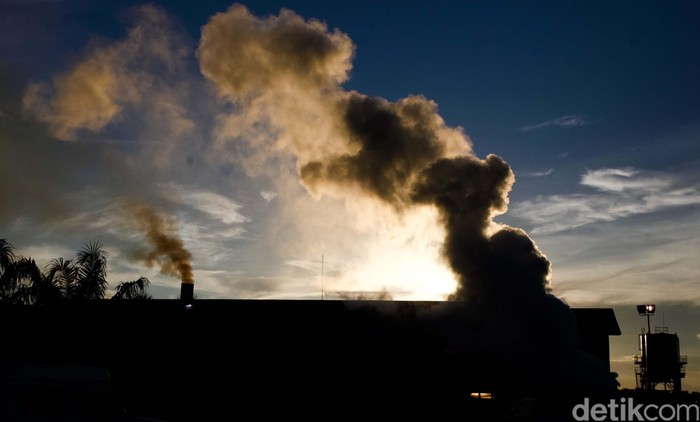 Melihat Proses Pengolahan Sawit