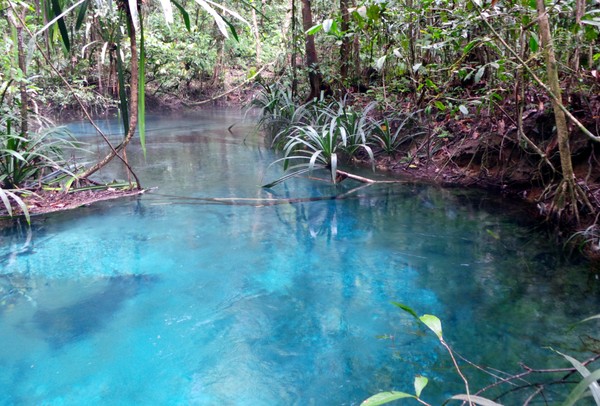 Foto: Kali Biru di Raja Ampat yang Dibahas Media Inggris