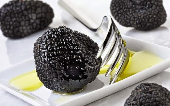 Bisa Jadi Minyak Truffle yang Mahal Tak Mengandung Jamur Truffle Sama ...