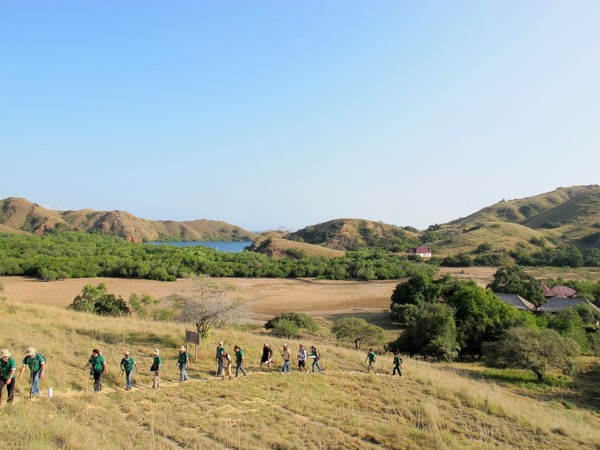 Foto: Melihat Pulau Rinca Lebih Dekat