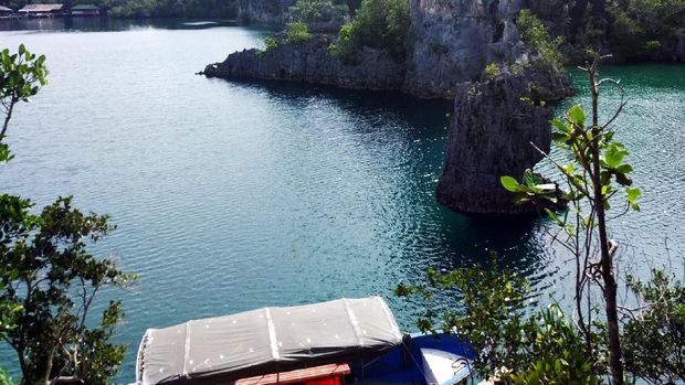 Pesona Telaga Bintang di Raja Ampat yang Bikin Jatuh Hati
