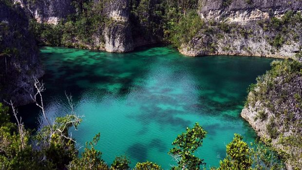 Pesona Telaga Bintang di Raja Ampat yang Bikin Jatuh Hati