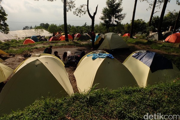 Basecamp Mawar yang Asyik Buat Kemping di Gunung Ungaran