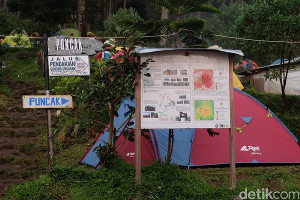 Basecamp Mawar yang Asyik Buat Kemping di Gunung Ungaran