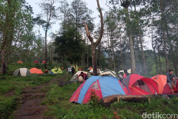 Basecamp Mawar yang Asyik Buat Kemping di Gunung Ungaran
