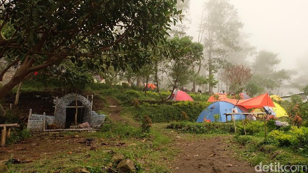 Basecamp Mawar yang Asyik Buat Kemping di Gunung Ungaran