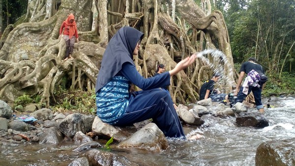 Pohon Akar Seribu yang Unik di Mojokerto