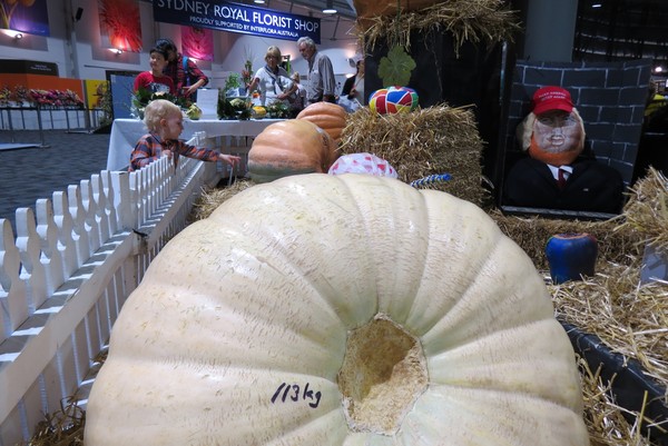 Labu Raksasa dan Pekan Raya Terbesar di Sydney