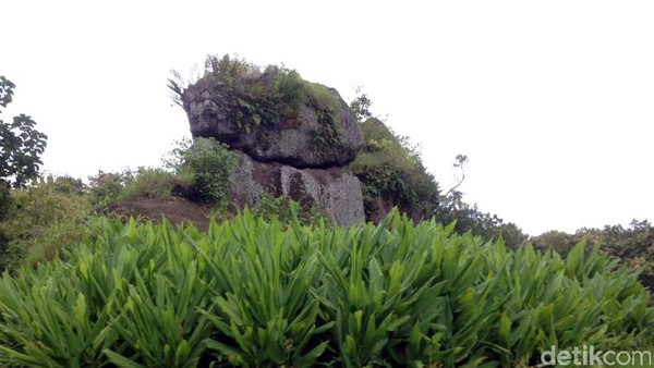 Foto-Foto Kembaran Stonehenge dari Bondowoso