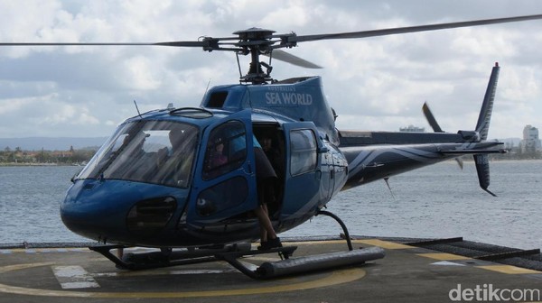 Sea World Australia, Dari Hiu Sampai Naik Helikopter
